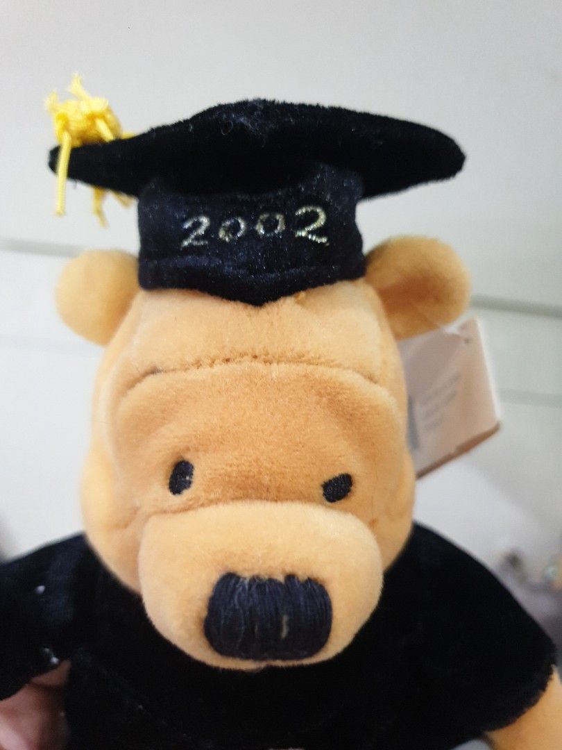 Vintage Disney Graduation Winnie the Pooh plush toy, Hobbies & Toys ...