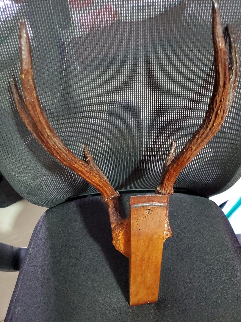 Vintage reindeer trunk with woodbase, Furniture & Home Living, Home ...