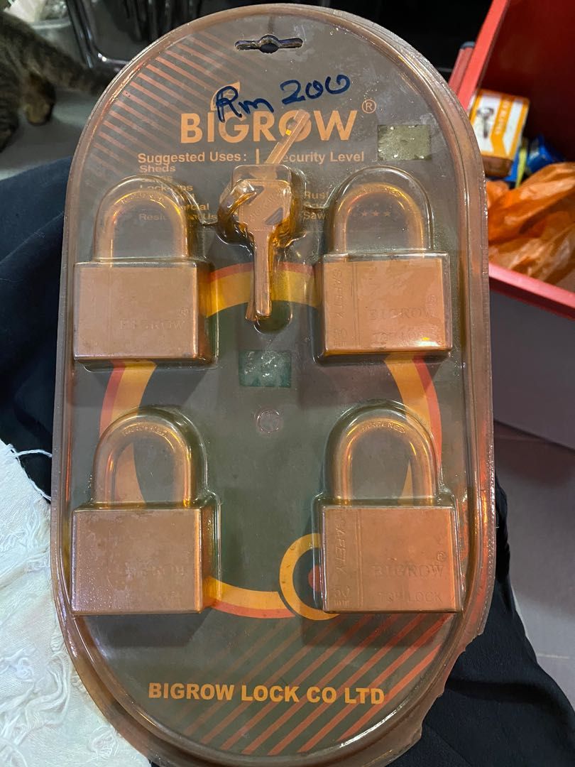 Wise BIGROW Security lock, Furniture & Home Living, Security & Locks ...