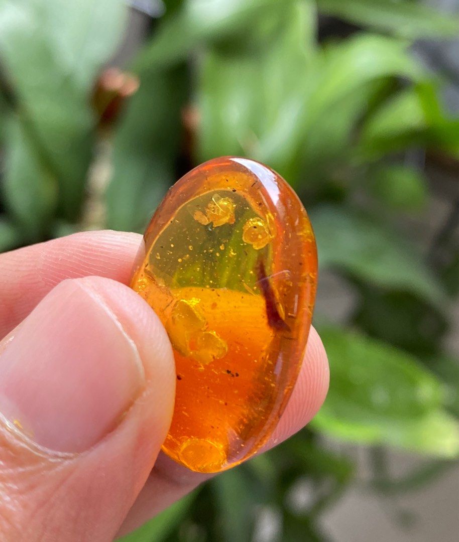Burma Natural Amber water bubbles, Men's Fashion, Watches & Accessories ...