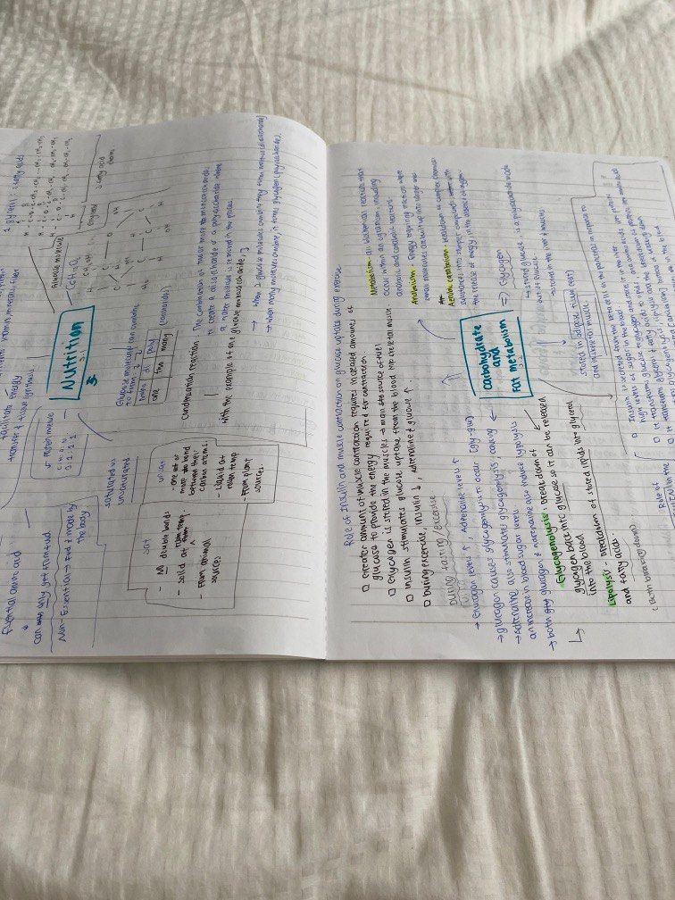 IB SEHS HL NOTES, fully detailed from topic 1 to 13, including options ...