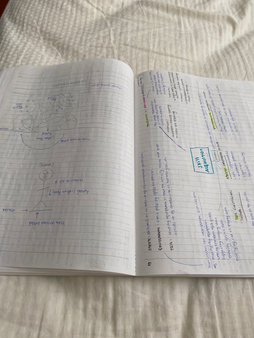 IB SEHS HL NOTES, fully detailed from topic 1 to 13, including options ...