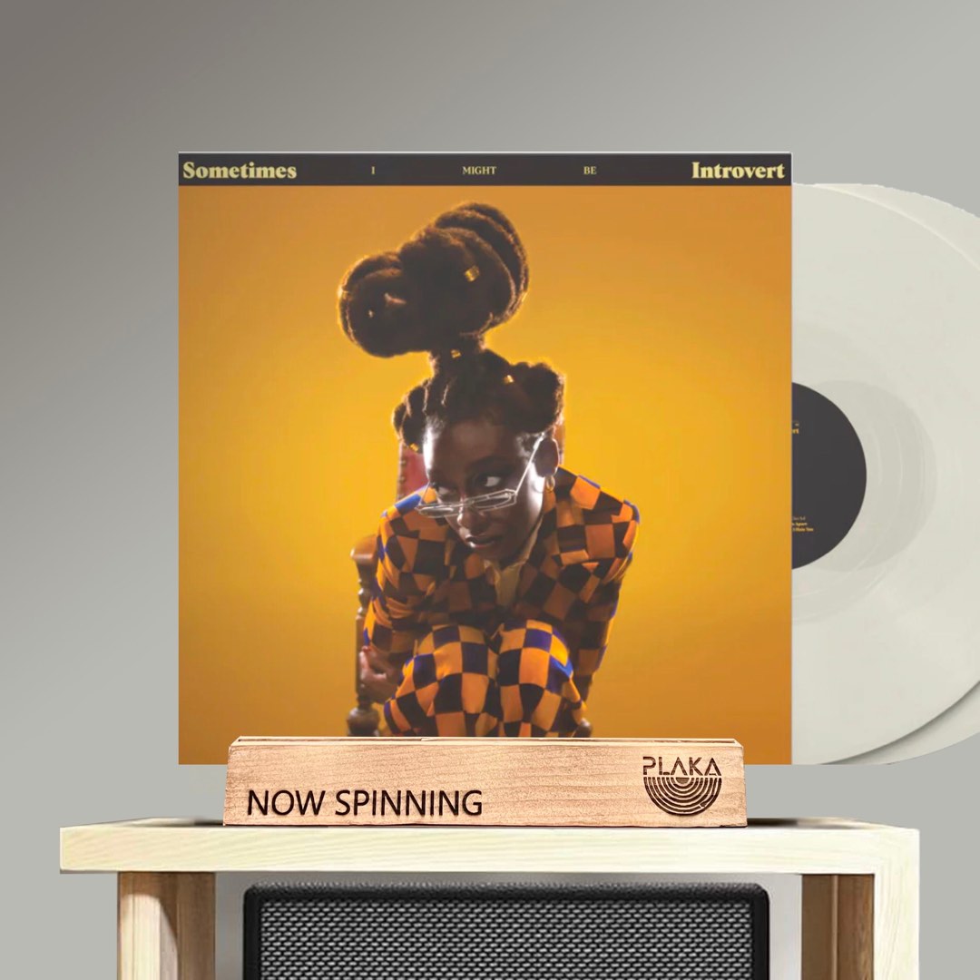 Little Simz - Sometimes I Might Be Introvert Vinyl LP Plaka, Hobbies ...