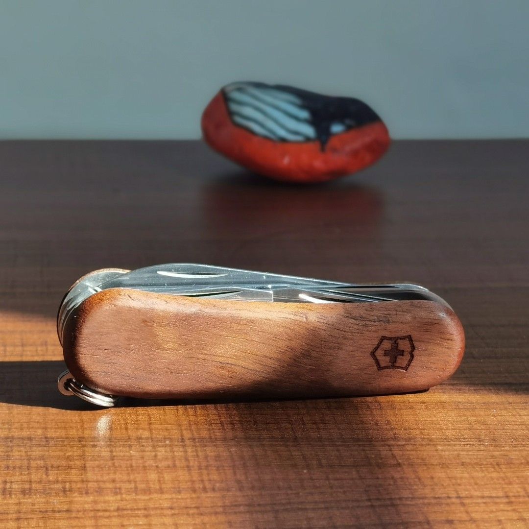 Victorinox Evowood 17, Sports Equipment, Hiking & Camping on Carousell