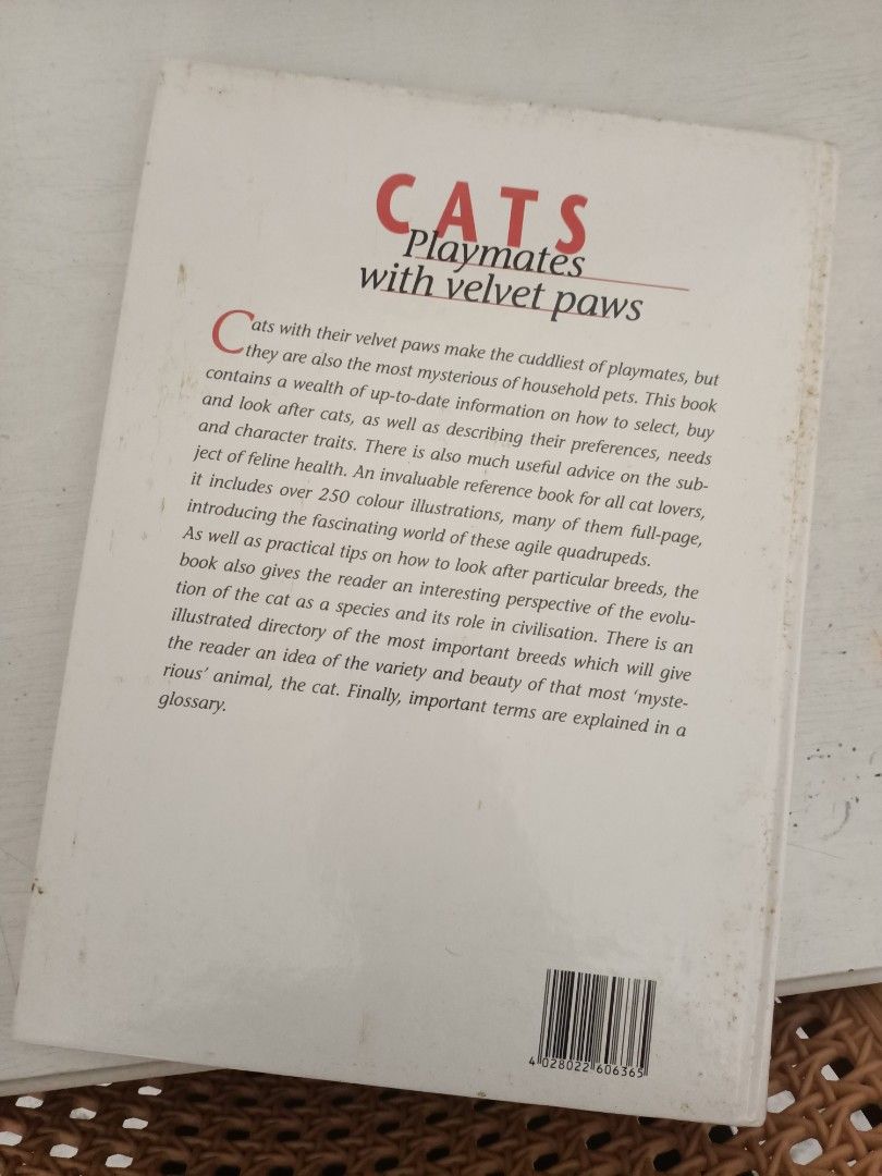 Cats Playmates with Velvet Paws, Hobbies & Toys, Books & Magazines ...
