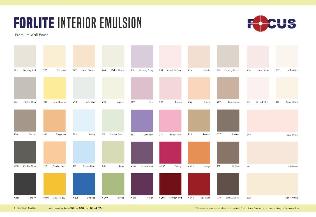 FOCUS FORLITE INTERIOR EMULSION PAINT / WALL PAINTING PAINT-MADE IN ...