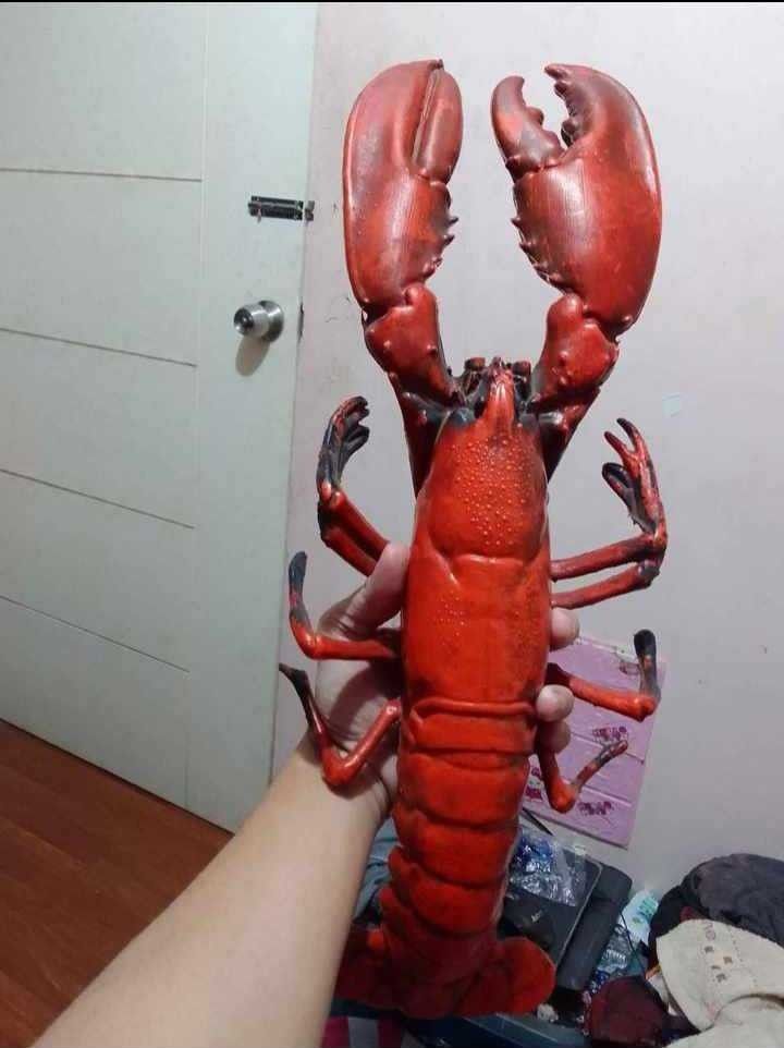 REALISTIC "LOBSTER" HARD RUBBER, Hobbies & Toys, Toys & Games on Carousell