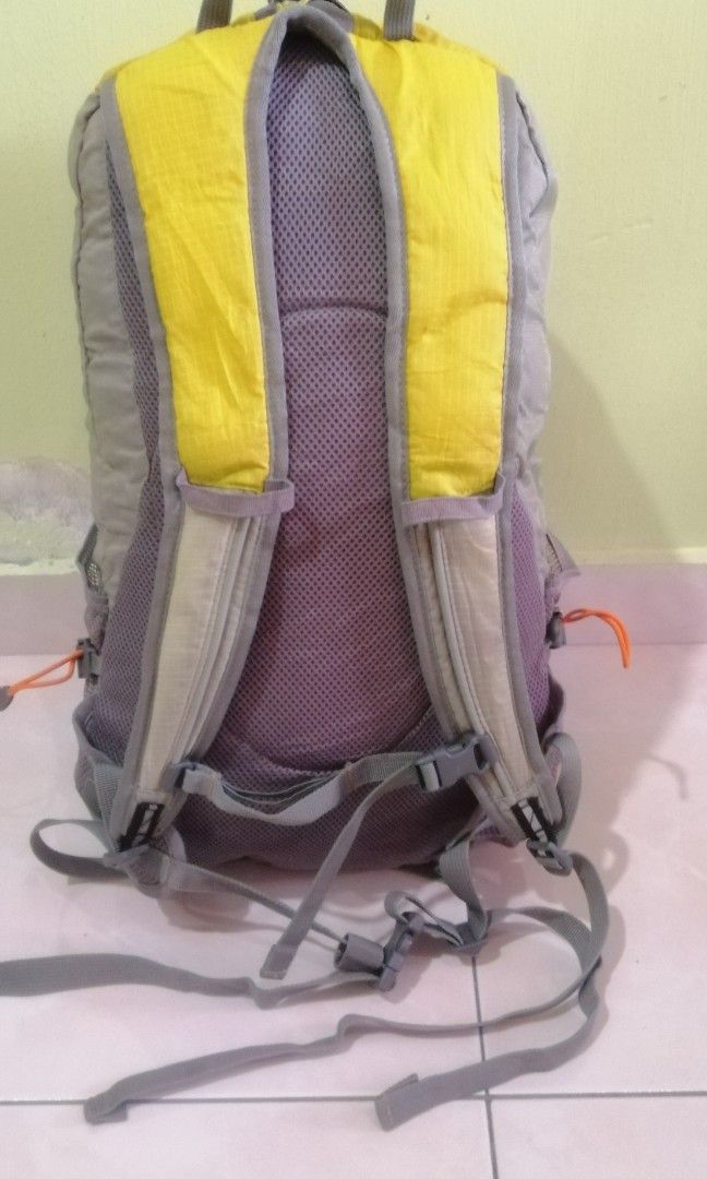 Coleman Backpack 20 liter, Women's Fashion, Bags & Wallets, Backpacks ...
