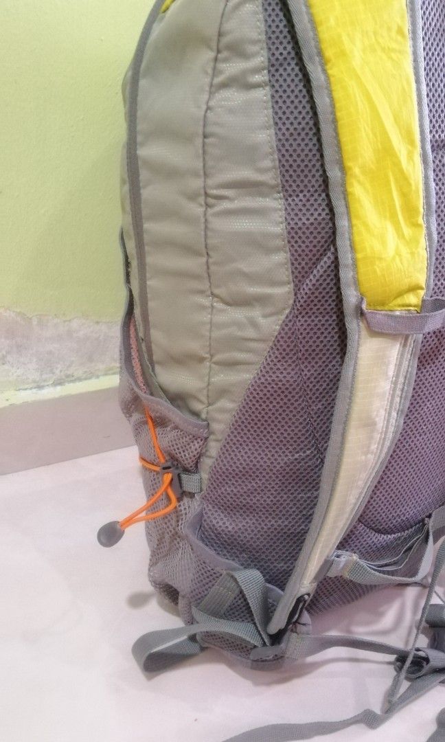 Coleman Backpack 20 liter, Women's Fashion, Bags & Wallets, Backpacks ...
