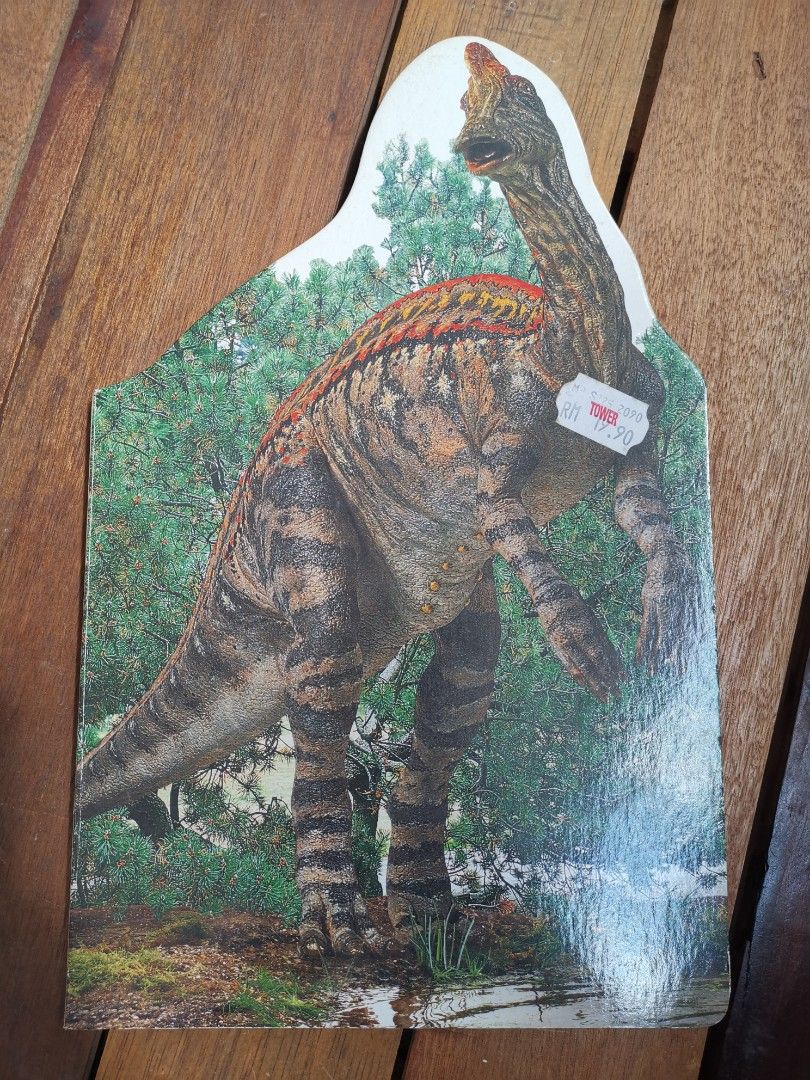 (ENG) CORYTHOSAURUS, Hobbies & Toys, Books & Magazines, Children's ...