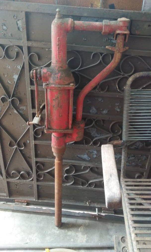 Pam Shell antik, Hobbies & Toys, Collectibles & Memorabilia, Vintage ...