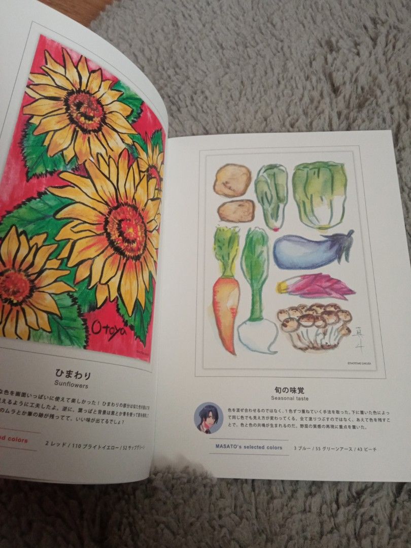 Staedtler Shining Museum Original Art Illustration Book, Hobbies & Toys ...