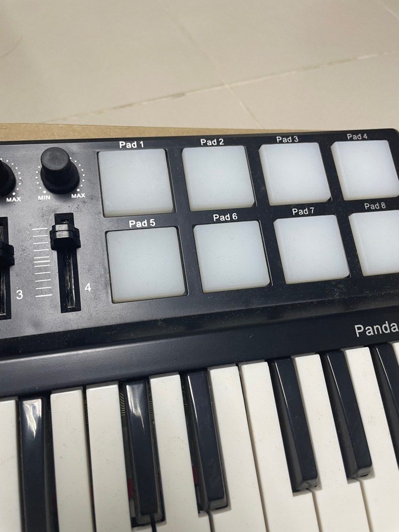 World Panda Mini MIDI Keyboard, Hobbies & Toys, Music & Media, Musical ...