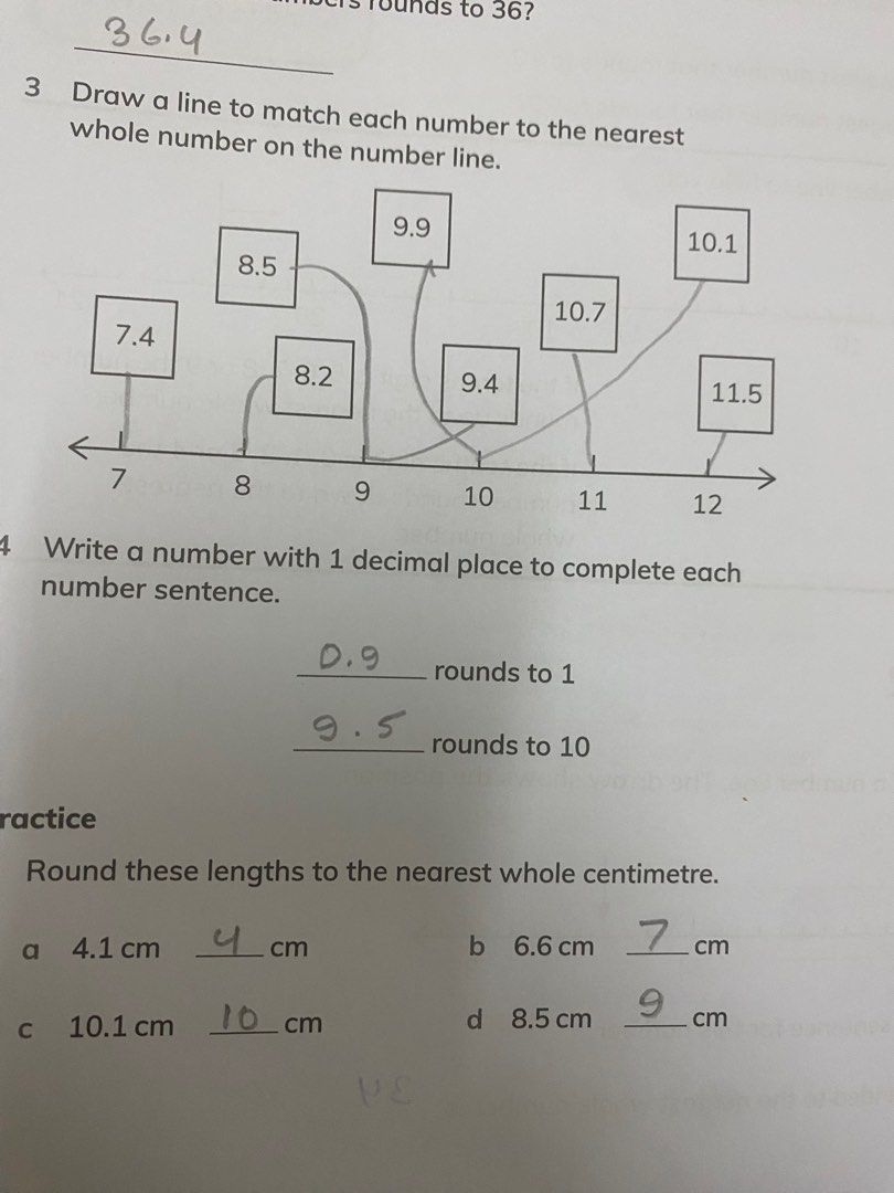 CAMBRIDGE PRIMARY MATHEMATICS WORKBOOK 5, Hobbies & Toys, Books ...