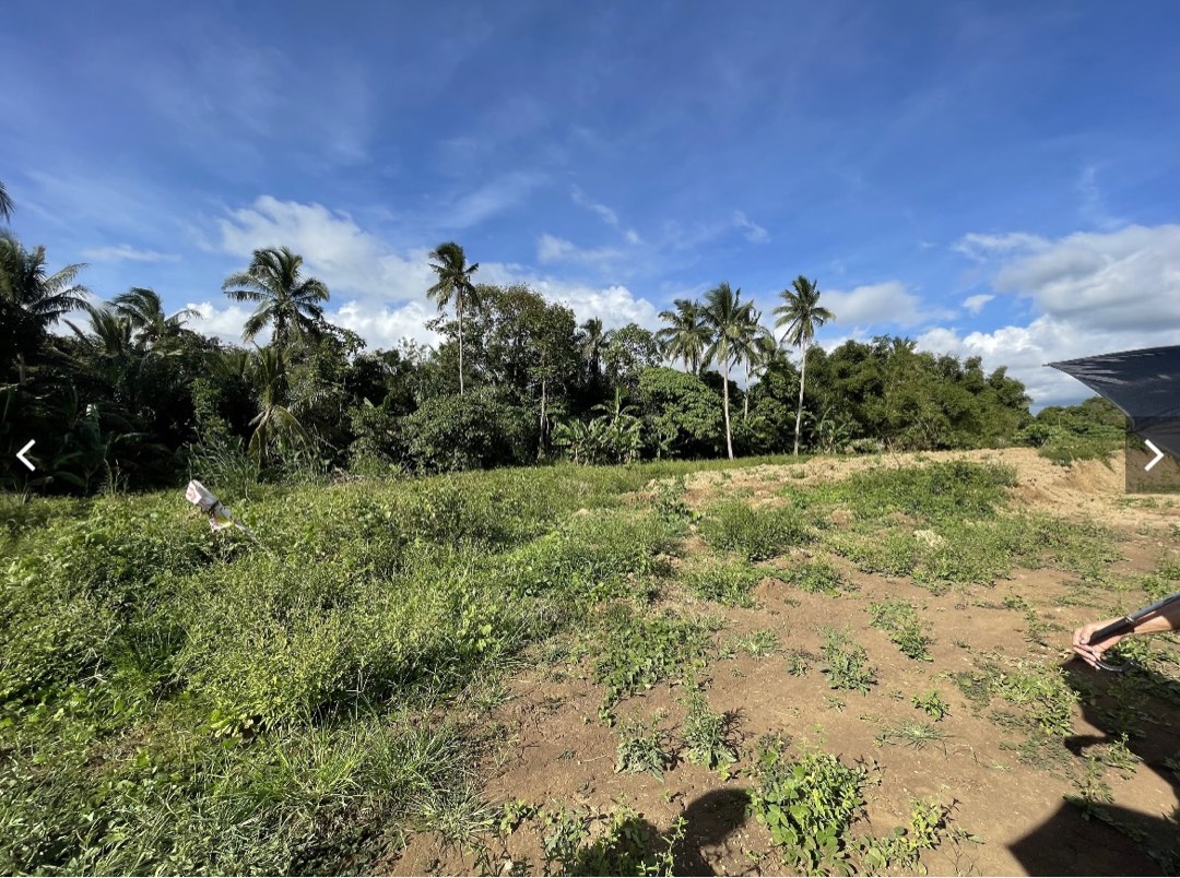 Farm Lot For LEASE/SALE in Alfonso Cavite near Tagaytay, Property, For Sale, Lot on Carousell