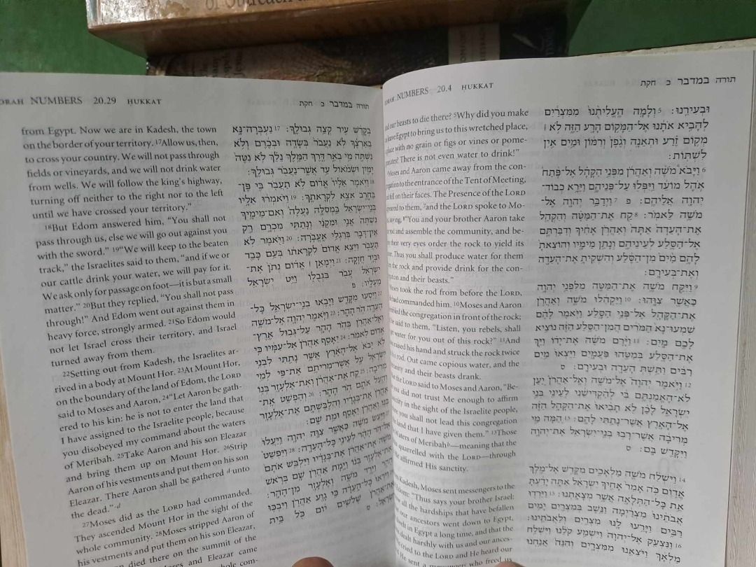 JPS Tanakh Bible, Hobbies & Toys, Books & Magazines, Religion Books on ...