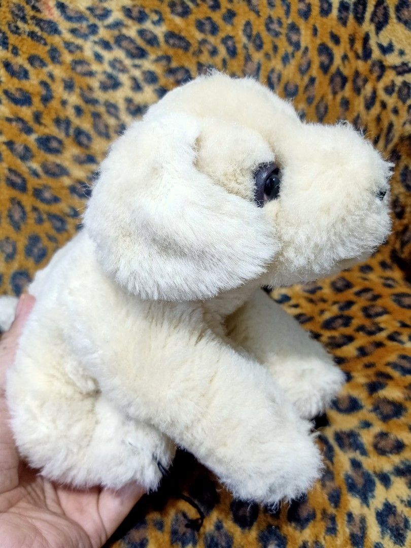 KEEL TOYS REALISTIC CREAM COLOR LABRADOR DOG PLUSH, Hobbies & Toys ...