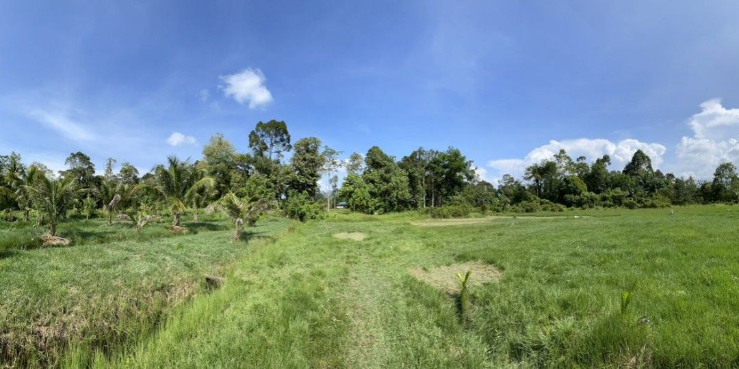 Tanah Saiz Luas Harga RM110K Besut Terengganu, Property, For Sale on ...