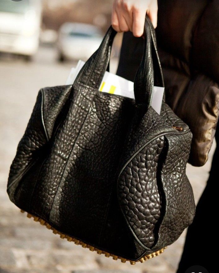 ALEXANDER WANG Rocco Bag, Luxury, Bags & Wallets on Carousell