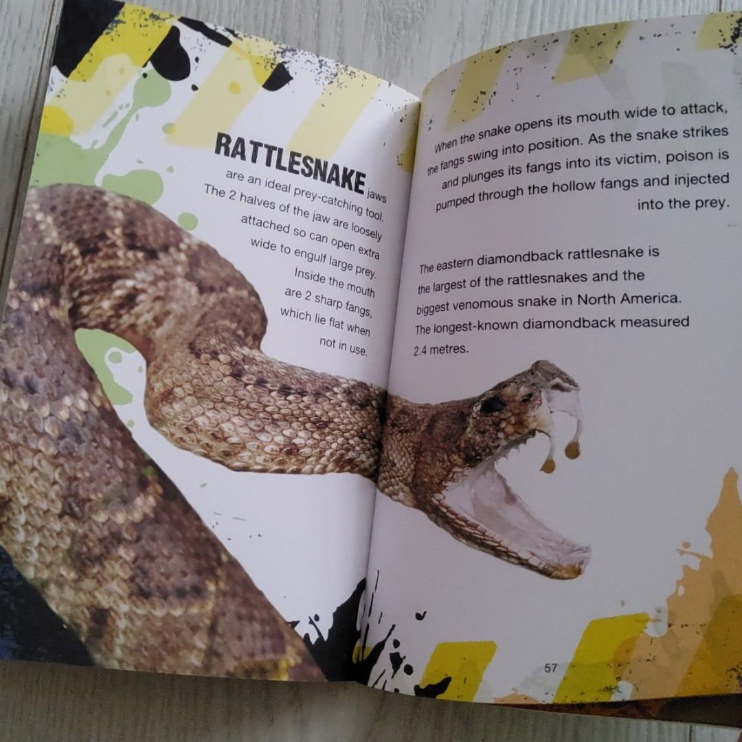 Deadly Factbook - Jaws & Claws - by BBC Earth - Children Learning ...