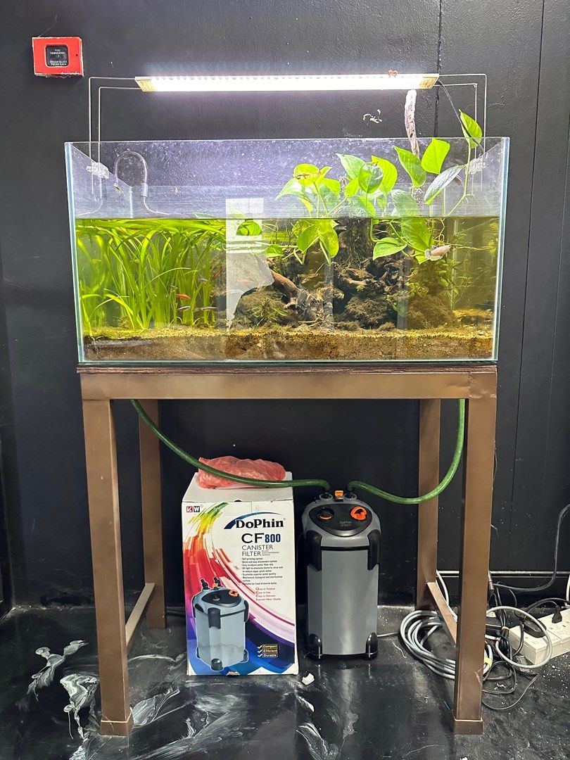 Aquascape | Akuarium Full Set, Pet Supplies, Homes & Other Pet Accessories on Carousell