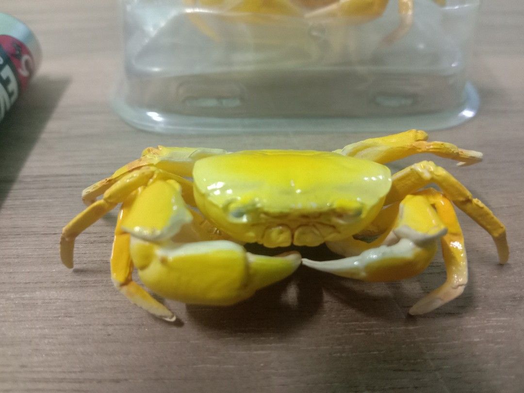 Realistic fiddler crab figurine, Hobbies & Toys, Collectibles ...