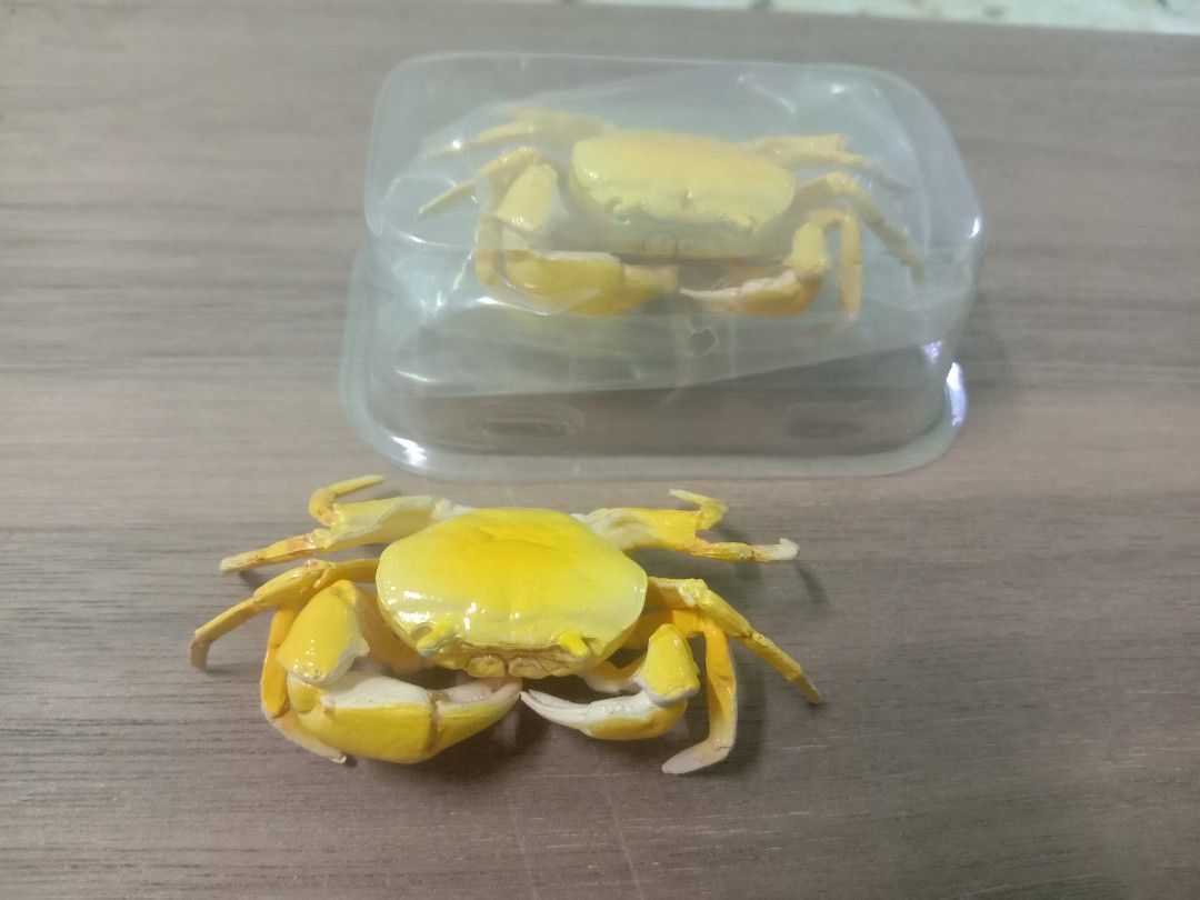 Realistic fiddler crab figurine, Hobbies & Toys, Collectibles ...