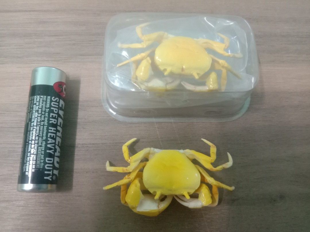 Realistic fiddler crab figurine, Hobbies & Toys, Collectibles ...
