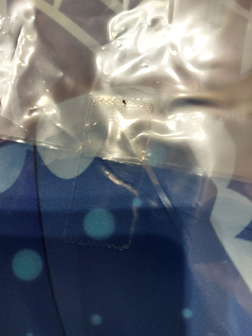 レジーニア 抱き枕カバー 抱枕套 天冥のコンキスタ galgame Eushully, 興趣及遊戲, 玩具 & 遊戲類 - Carousell