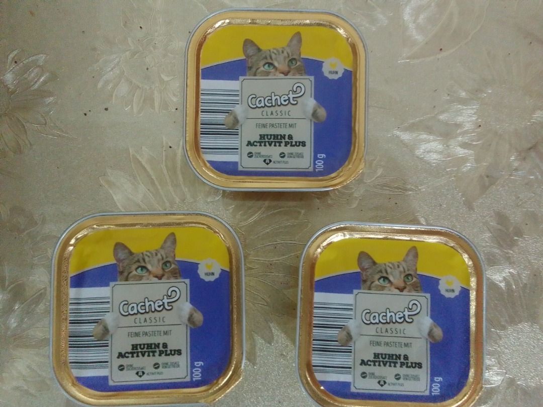 Cachet Classic 100g (Fine Pate with Chicken & Activity Plus) EXP07/26/ ...