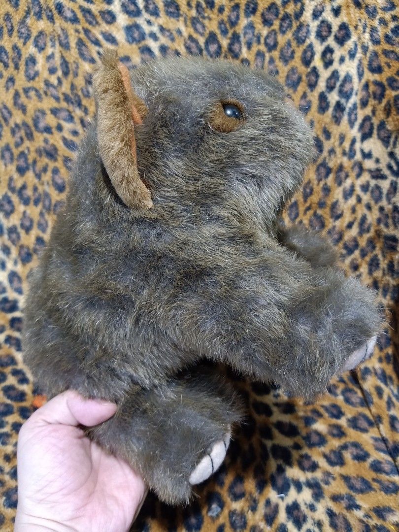 VERY BEAUTIFUL REALISTIC CAPYBARA WOMBAT PLUSH ANIMAL, Hobbies & Toys ...