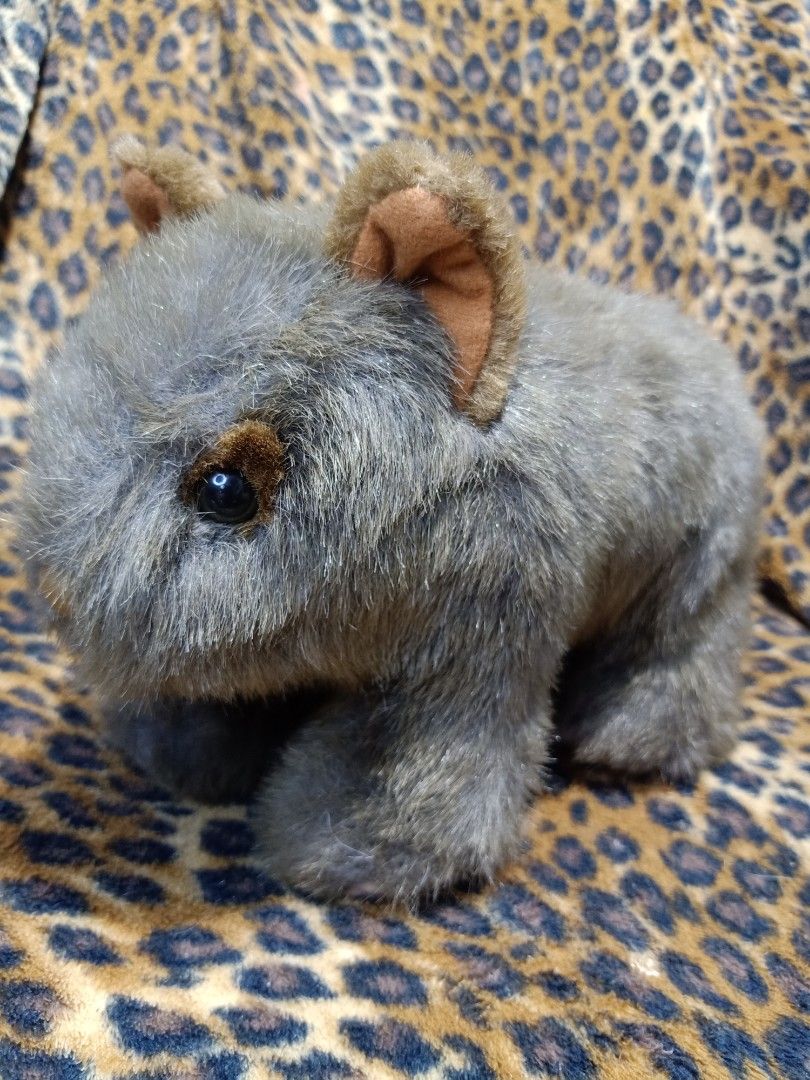 VERY BEAUTIFUL REALISTIC CAPYBARA WOMBAT PLUSH ANIMAL, Hobbies & Toys ...