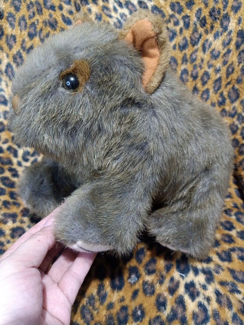 VERY BEAUTIFUL REALISTIC CAPYBARA WOMBAT PLUSH ANIMAL, Hobbies & Toys ...