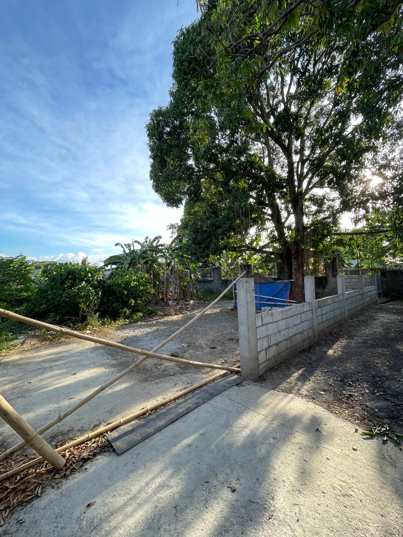 7.6 Hectares Farm Lot For Sale in Norzagaray, Bulacan, Property, For ...