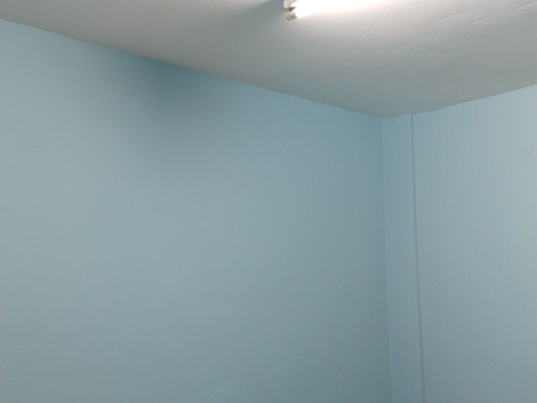 Nippon Paint 18L - Blue Instinct, Furniture & Home Living, Home Decor ...