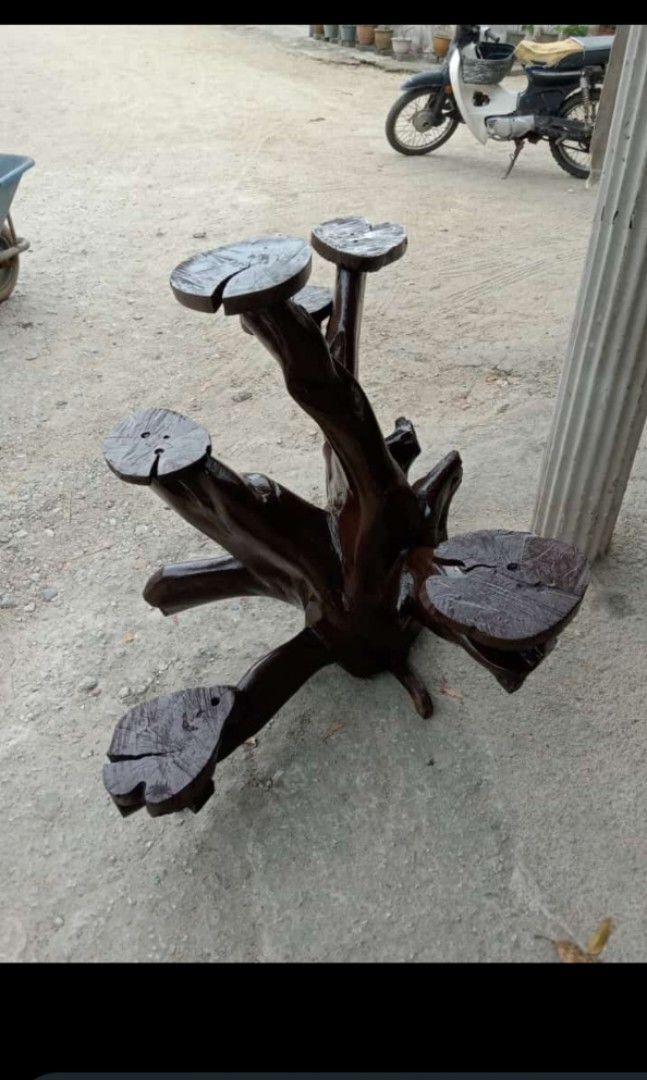 TEMPAT LETAK POKOK BUNGA /akar pokok Jati, Hobbies & Toys, Collectibles ...
