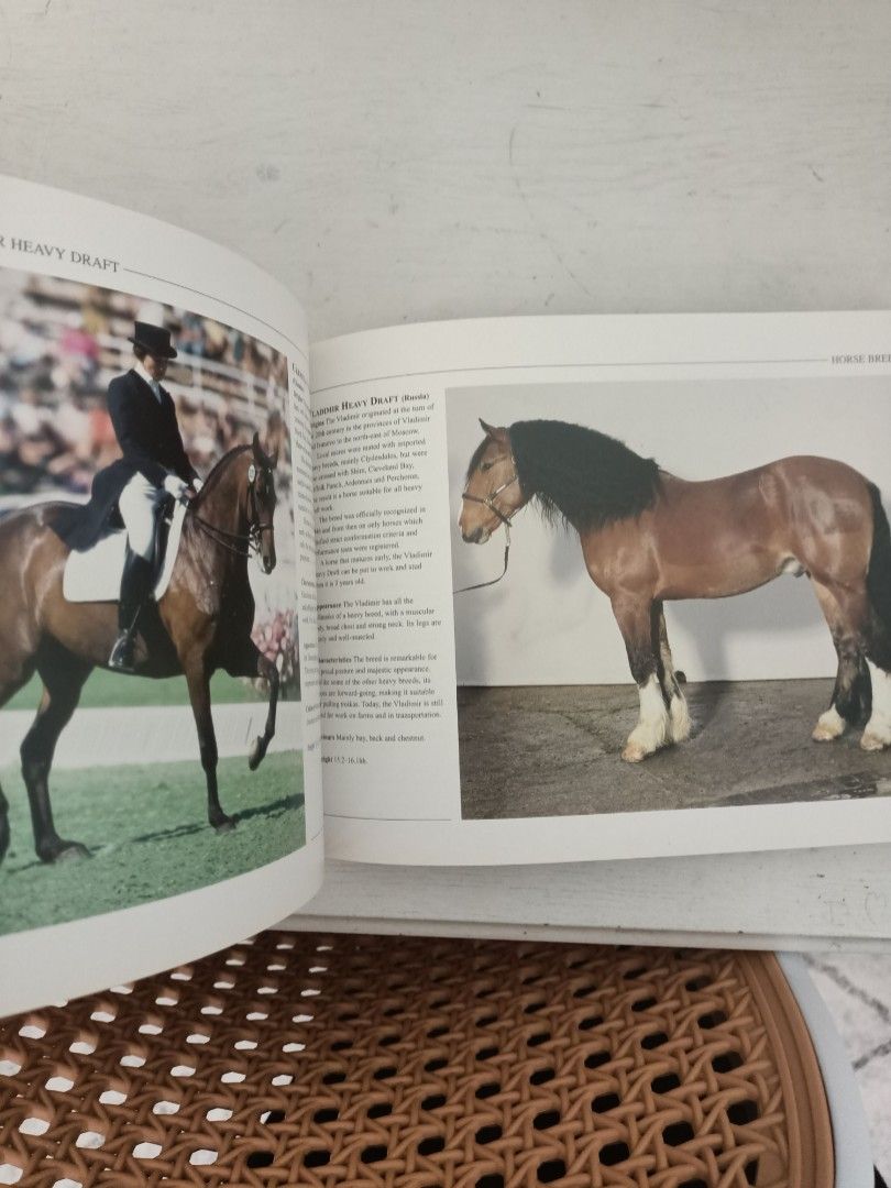 The Ultimate Guide to Horse Breeds, Hobbies & Toys, Books & Magazines ...