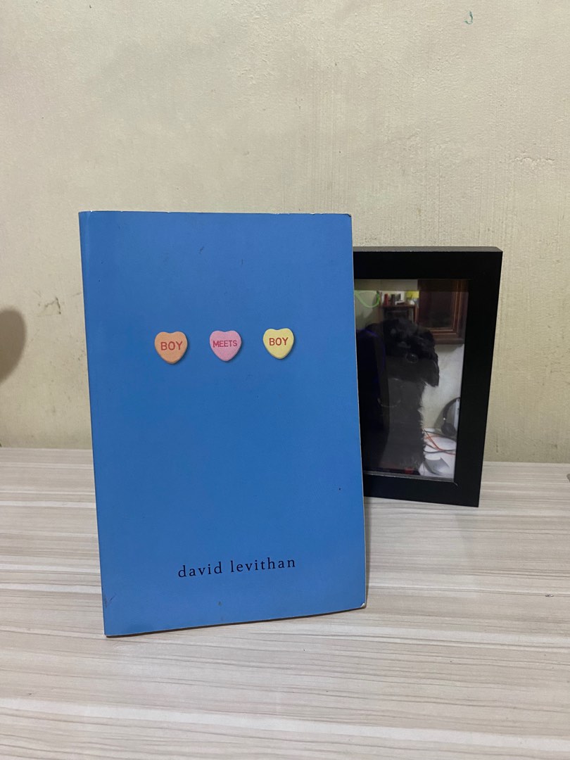 Boy Meets Boy by David Levithan, Hobbies & Toys, Books & Magazines ...