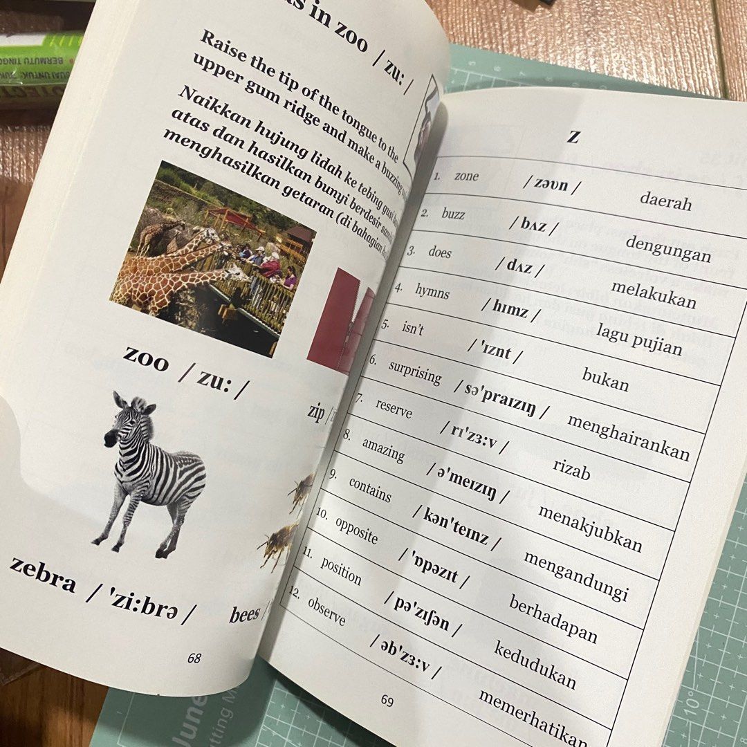 MIND YOUR ENGLISH PRONUNCIATION BOOK WITH CD, Hobbies & Toys, Books ...