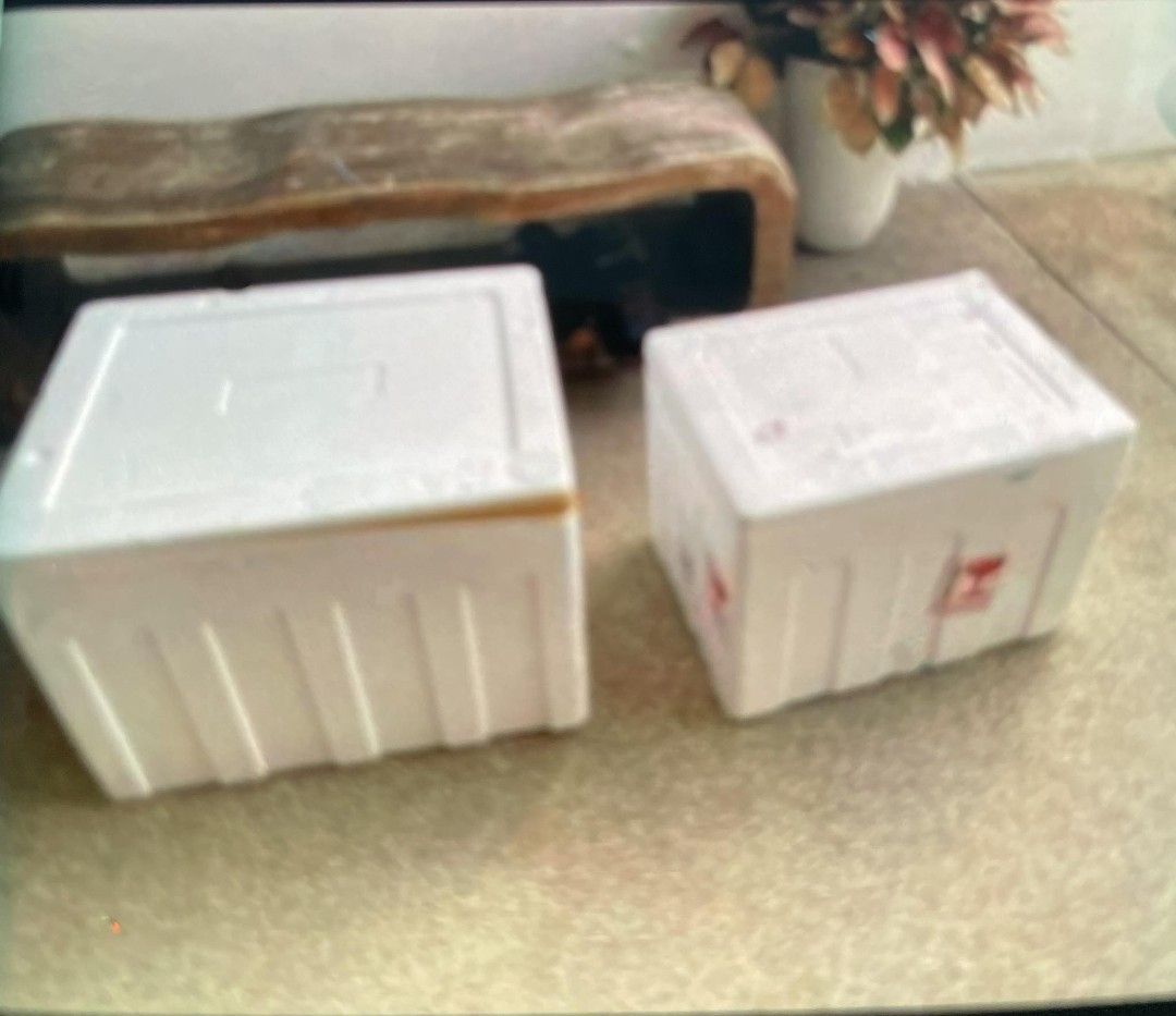 Styrofoam Boxes/ Ice cooler boxes, Furniture & Home Living, Home ...