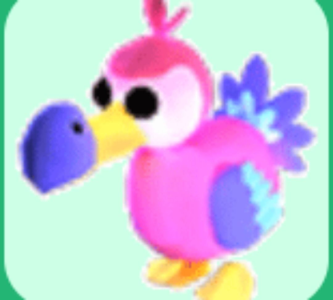 ADOPT ME DODO, Video Gaming, Video Games, Others on Carousell