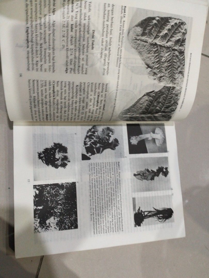 Buku teks - botani / biologi tumbuhan 1981, Hobbies & Toys, Books ...
