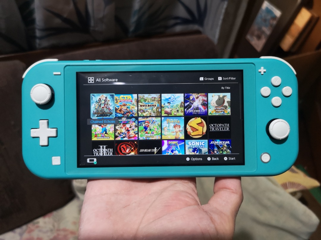 Nintendo switch lite 128gb dualboot (jailbroken), Video Gaming, Video ...