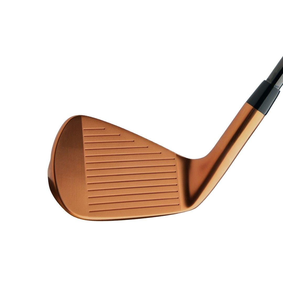 Takomo N100T 301 Combo, Sports Equipment, Sports & Games, Golf on Carousell