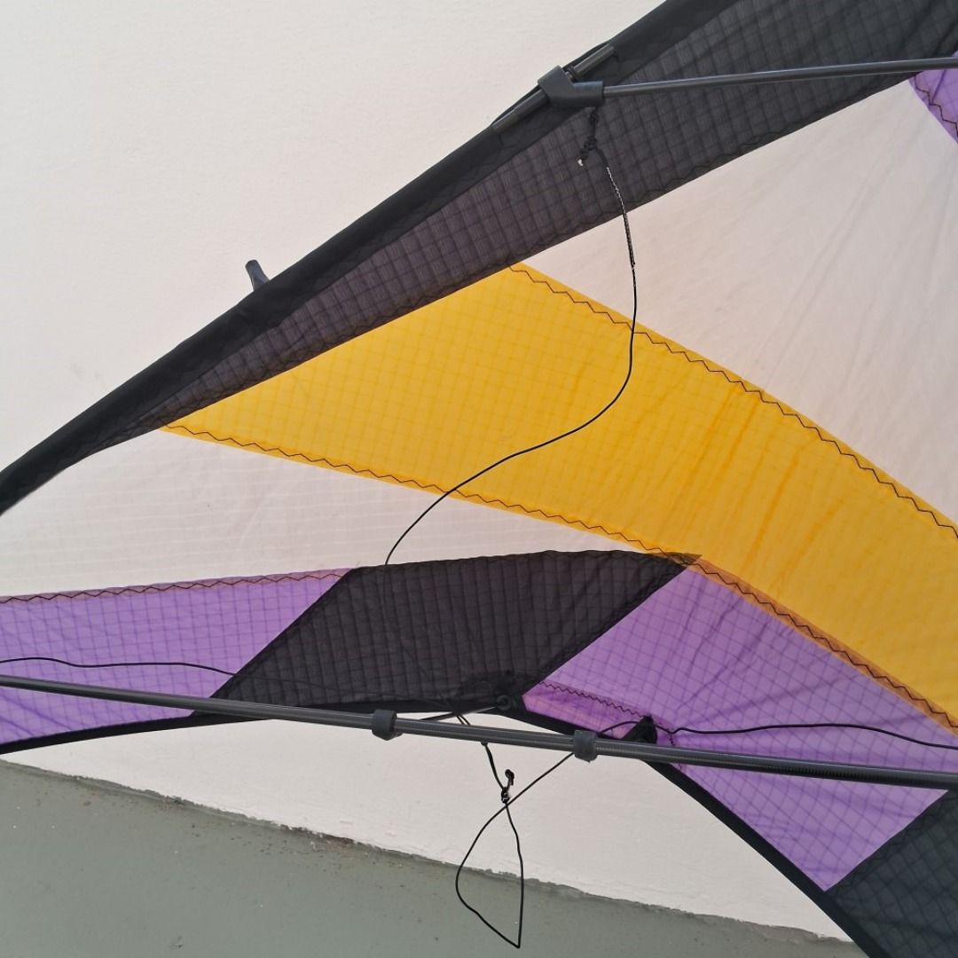 2.4m Albatross Crystal Trick Stunt Kite (Code : SF2), Sports Equipment ...