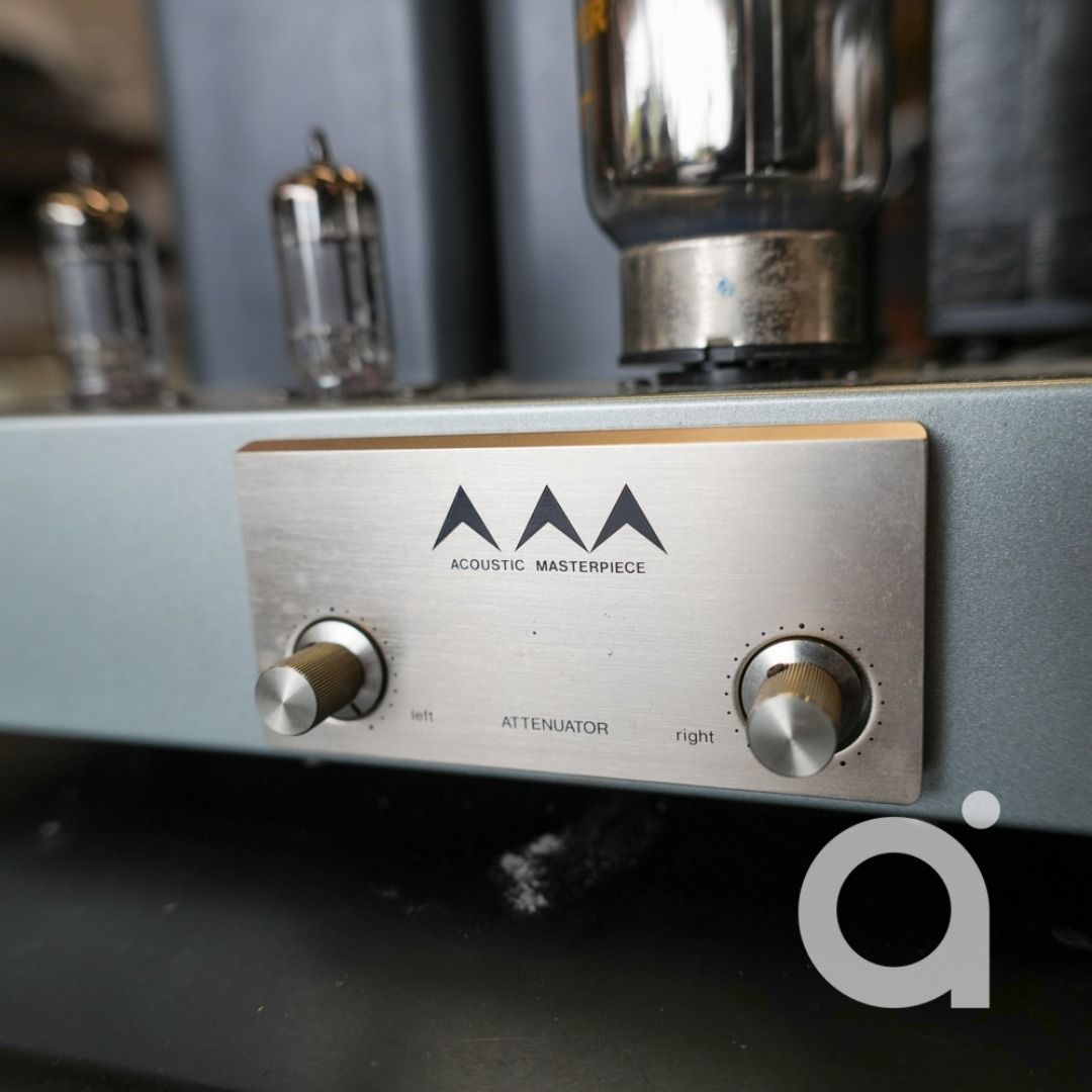 Airtight Acoustic Masterpiece M101 kt88 super factory Assembled, Audio ...