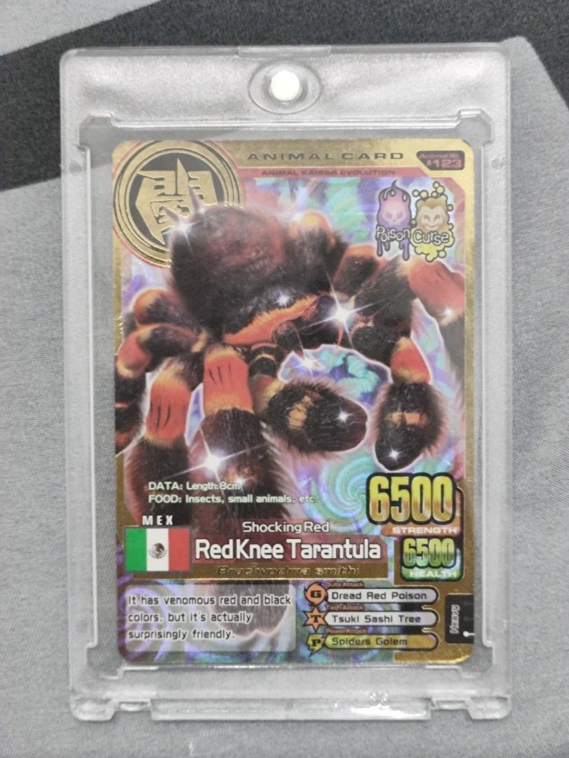 Animal Kaiser - Red Knee Tarantula (Gold Rare), Hobbies & Toys ...