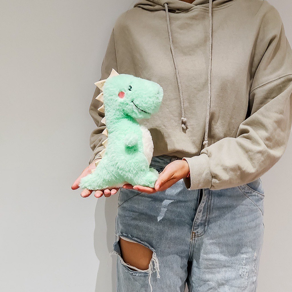 Dinosaur Plush Toy by Miniso, Hobbies & Toys, Toys & Games on Carousell