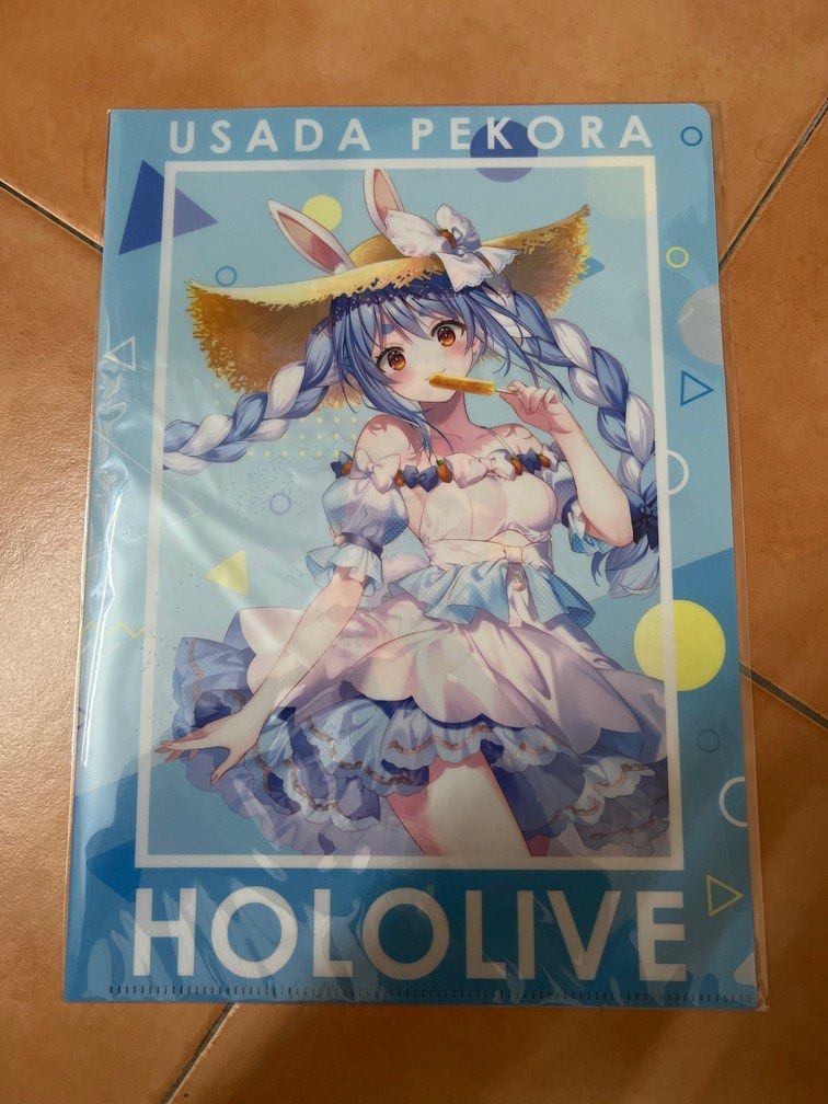 Hololive Usada Pekora A4 file, Hobbies & Toys, Books & Magazines, Comics & Manga on Carousell