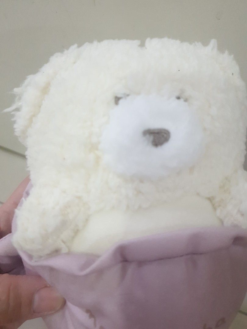 Japan Moco Mocha bear plush toy, Hobbies & Toys, Toys & Games on Carousell